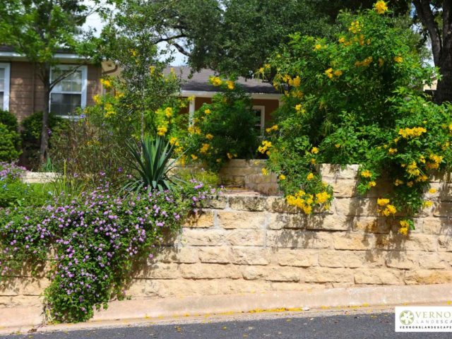 FAQs | Austin Landscaping Services
